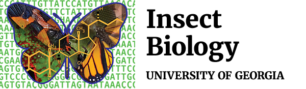 Team Archive - Insect Biology